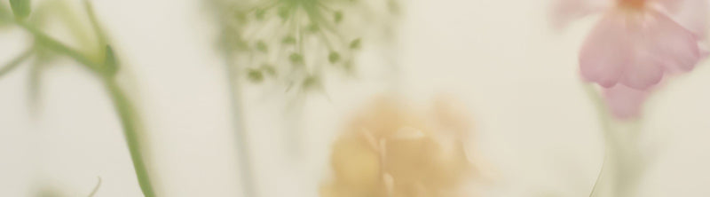 Original Bach Flower Remedies | 38 essences for emotional balance ...