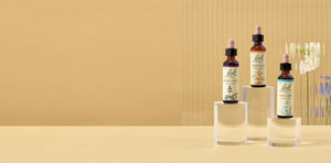 Bach Original Flower Remedies | Discover Our Range of Essences