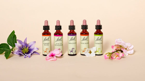Original Bach Flower Remedies | How to use Bach Flower Remedies