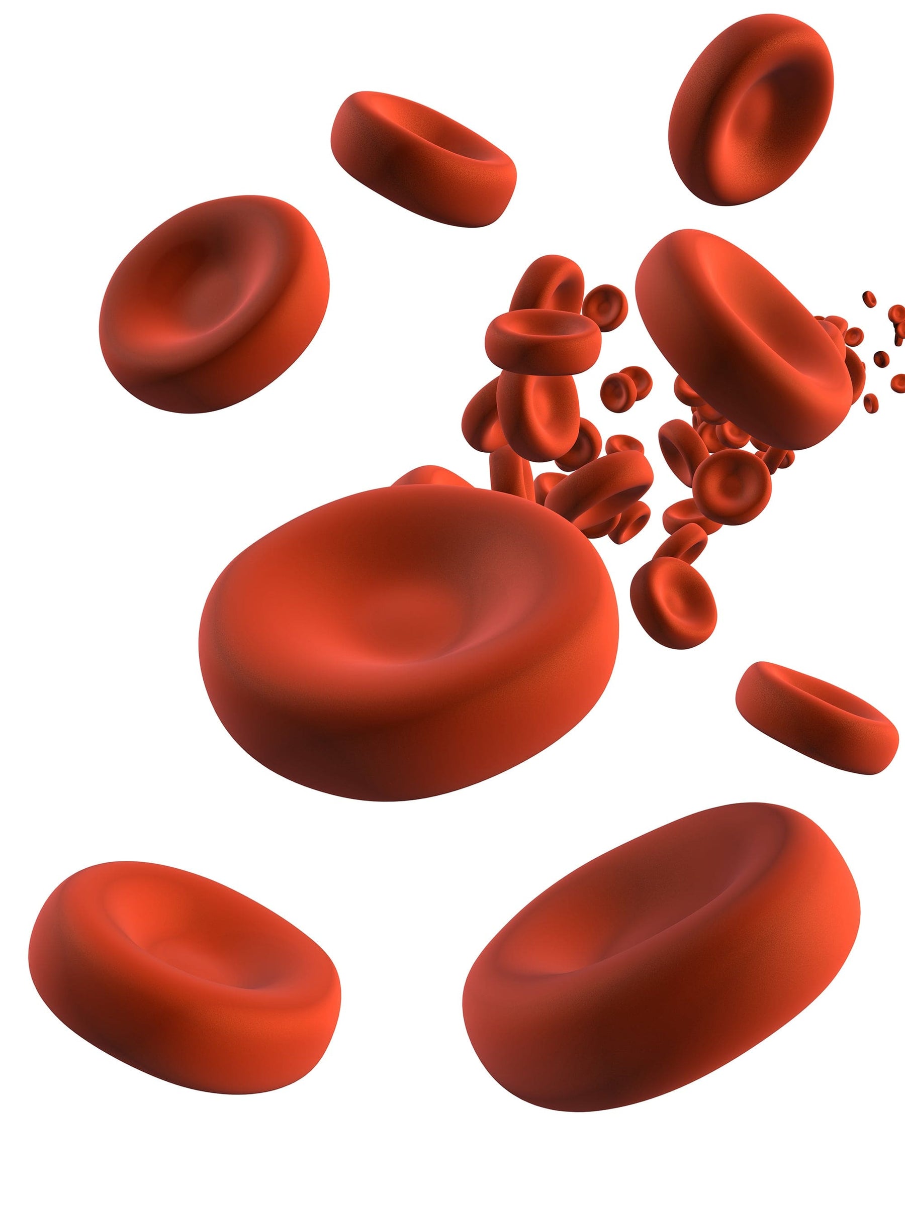 Understanding the Role of Iron | What It Does in the Body