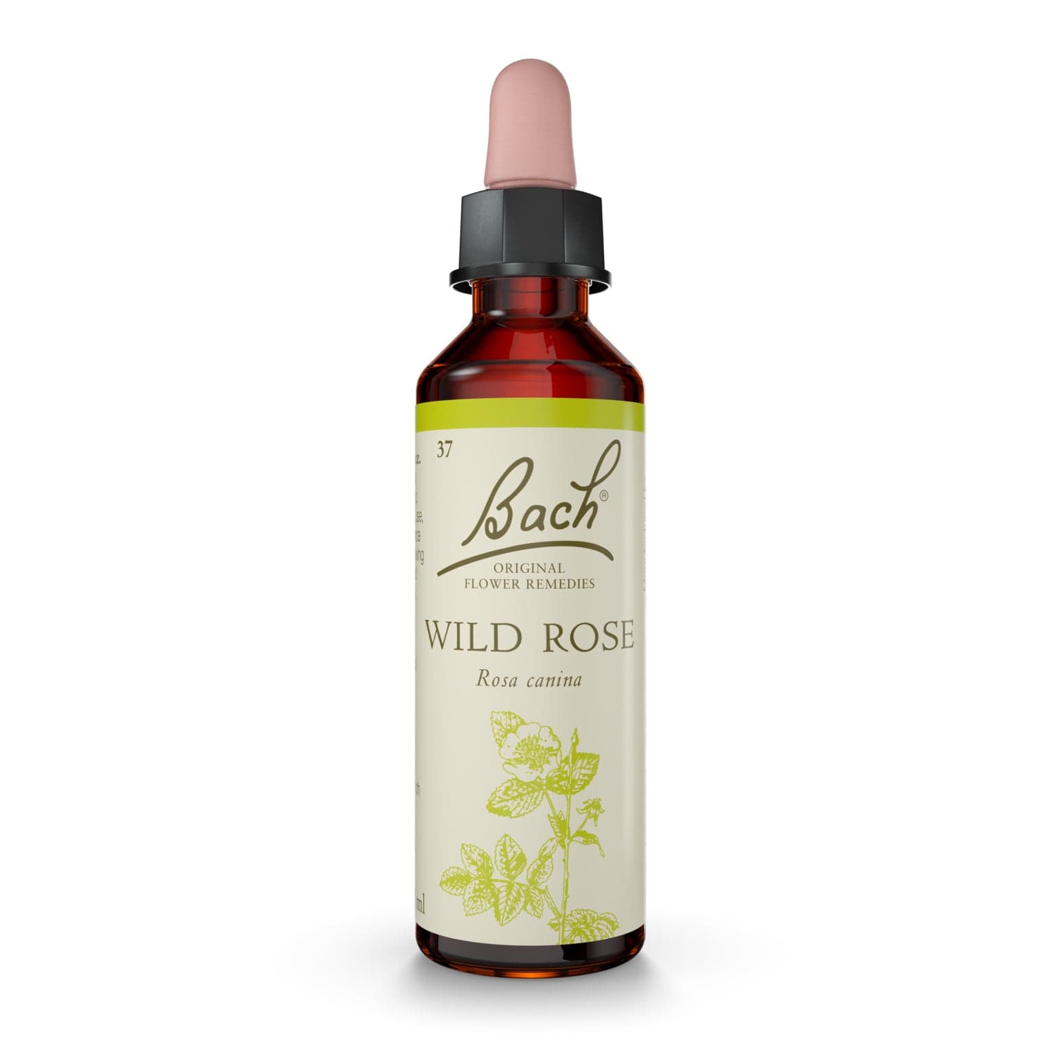Wild Rose Bach™ Original Flower Remedy