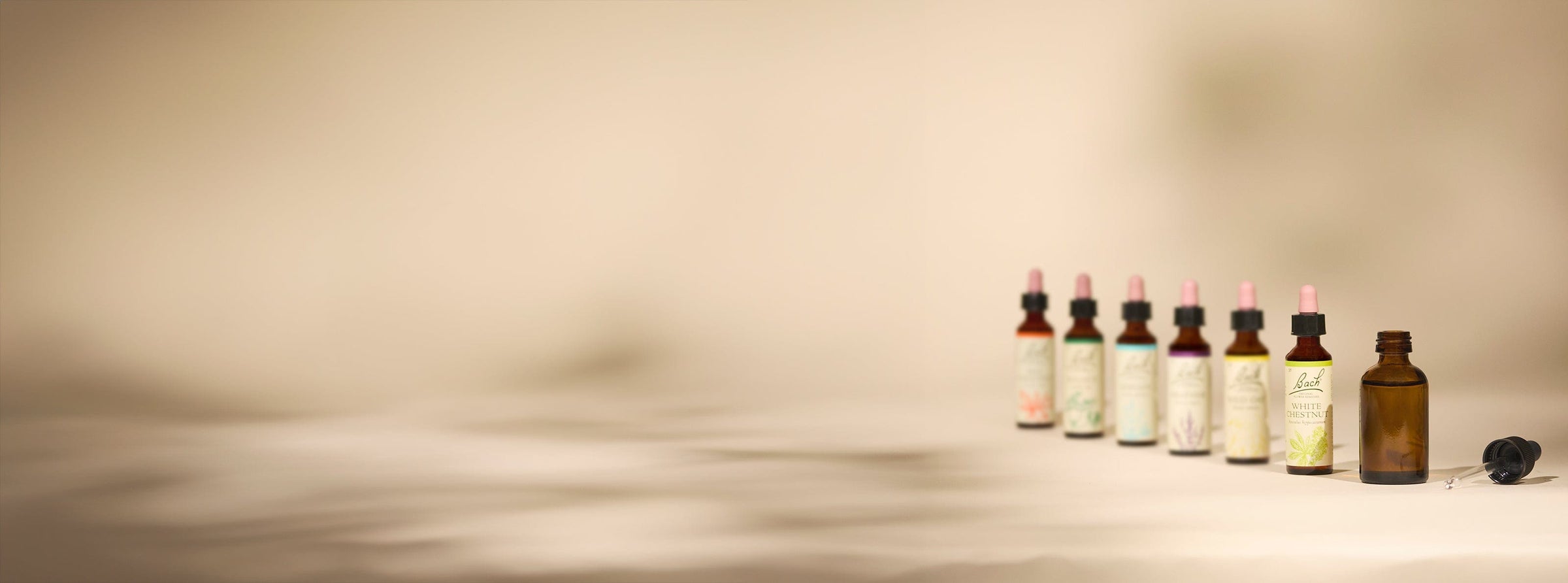 Bach Practitioners | Learn About Bach Flower Essences
