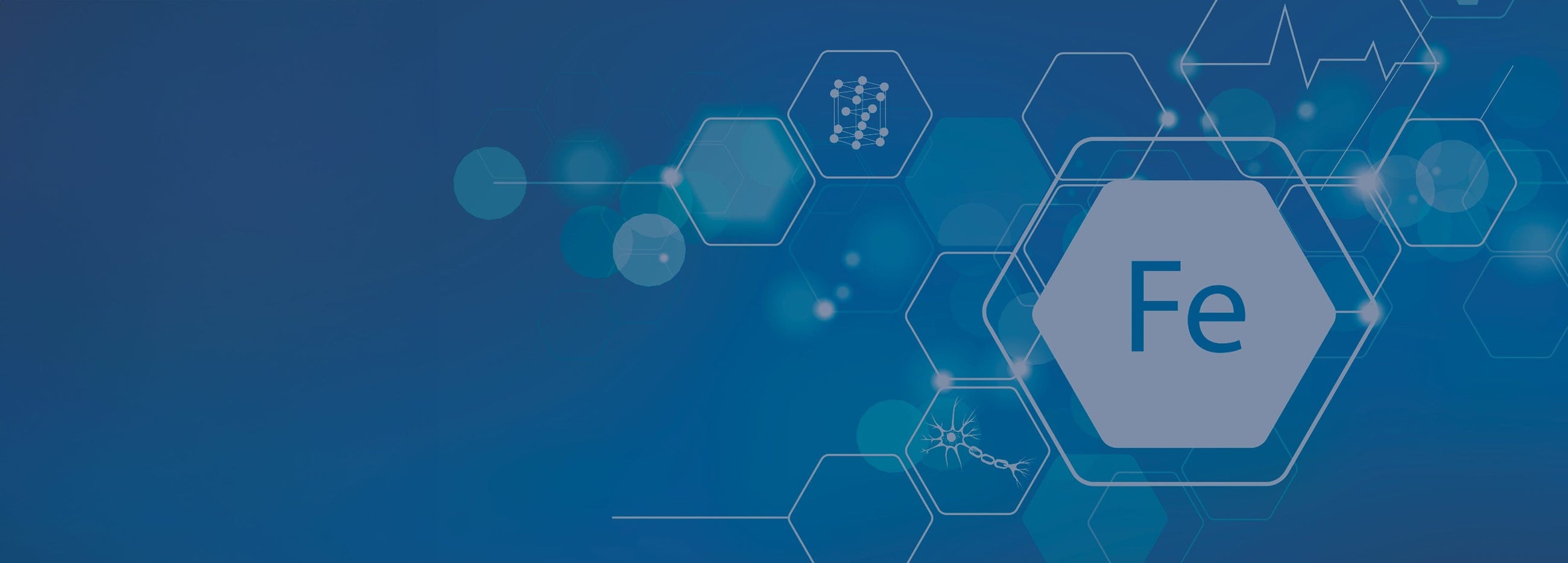 Understanding Iron Requirements | How Much Iron is Enough?