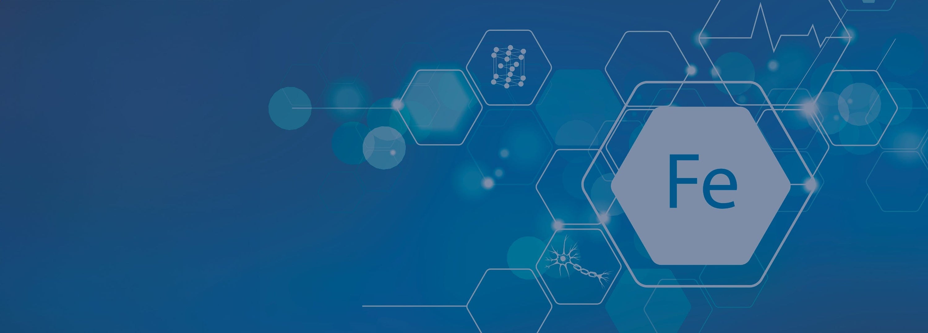 Understanding Iron Requirements | How Much Iron is Enough?